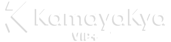 2-4 individual stock picks every month